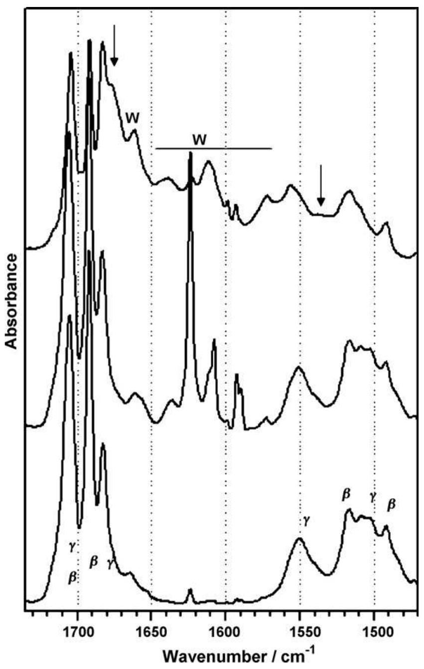 Amide i-ii region of the mi-ir spectra of ac-gly-nhme