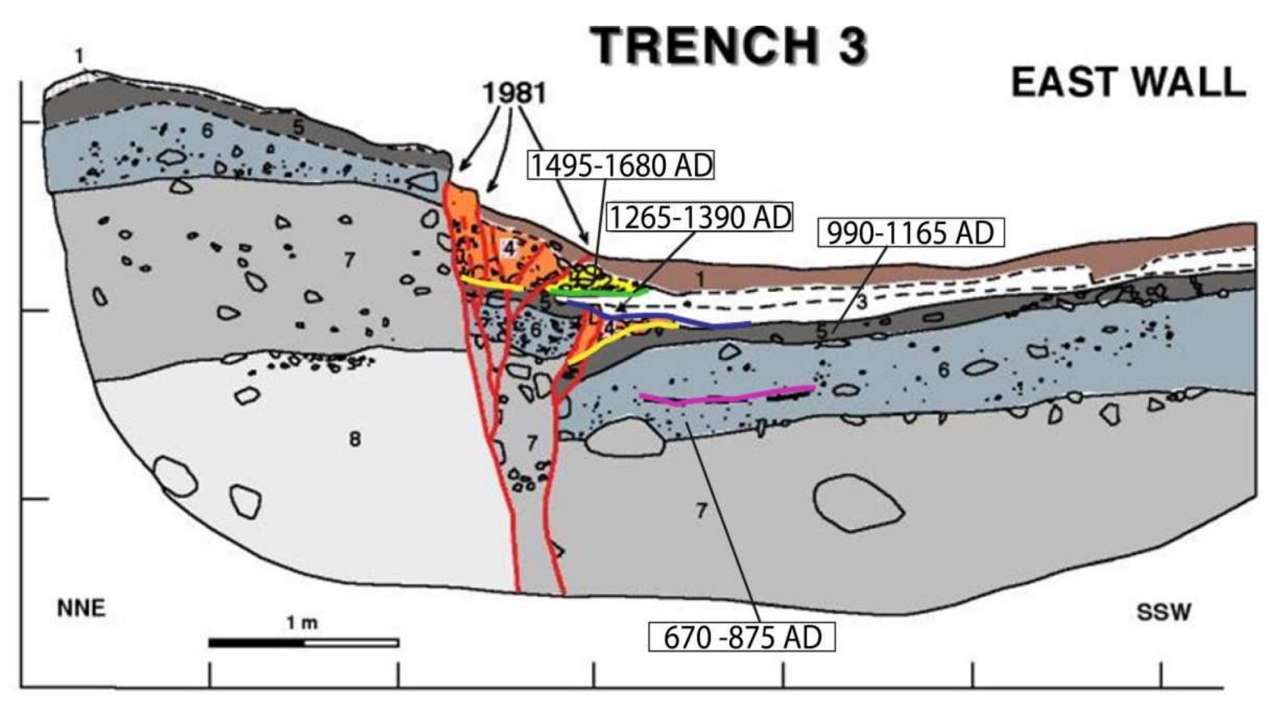 Log of trench 3 from a 1:20 scale survey. .colored lines