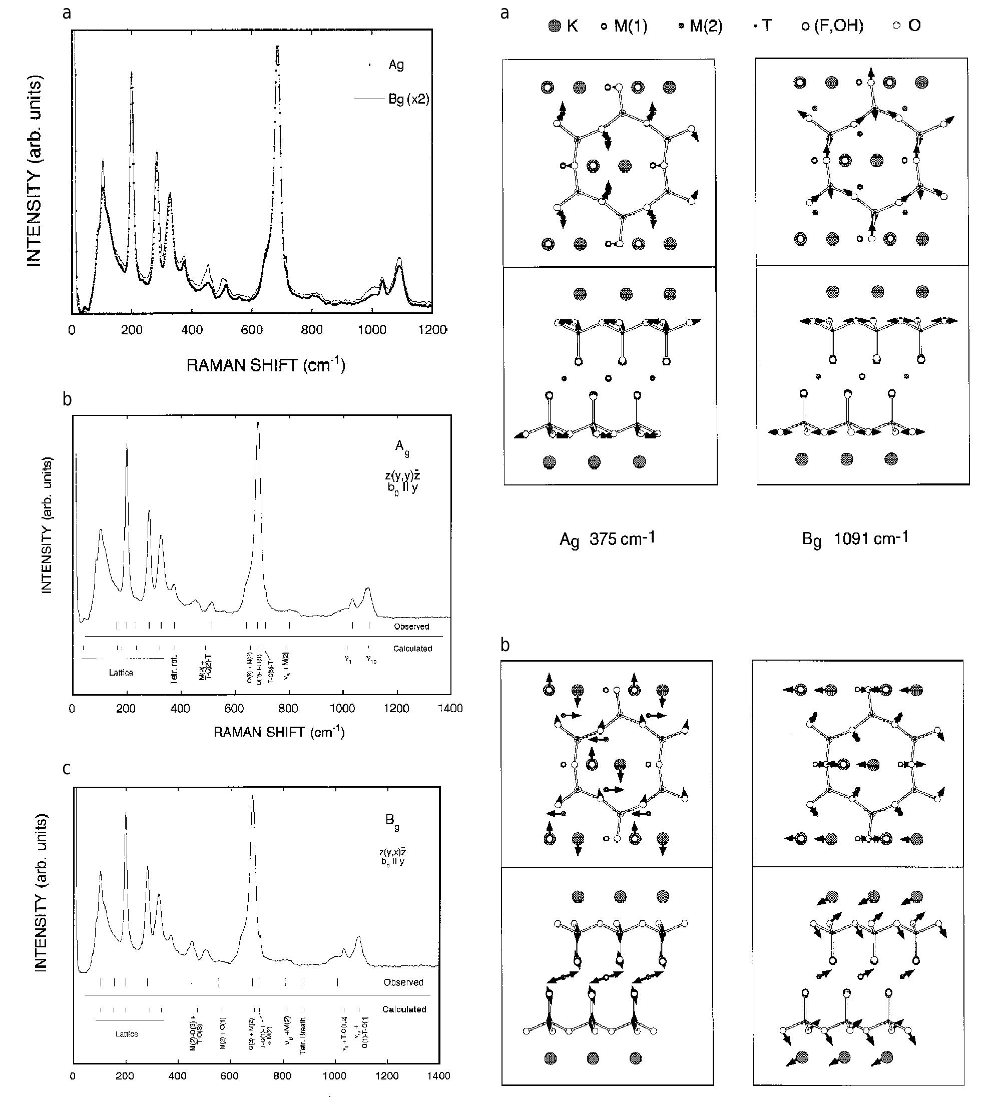 Figure 2 - from Raman spectra and vibrational analysis of