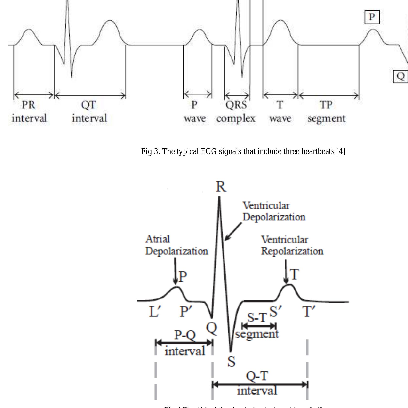Attributes that show the unique physiology of an individual