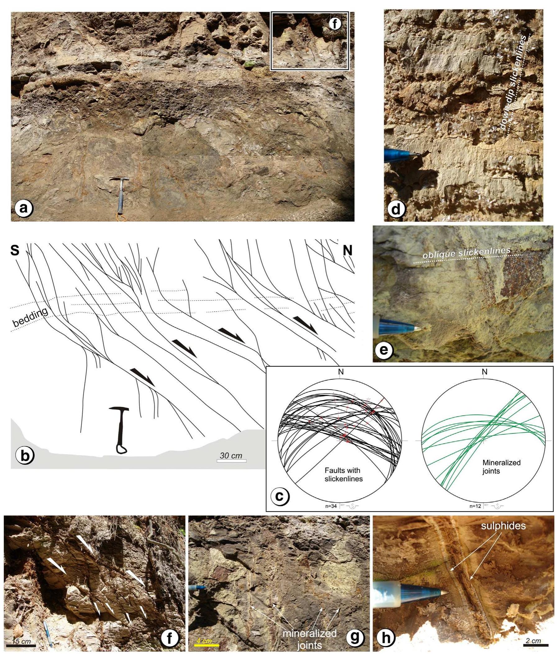 (a) panoramic view and (b) line drawing of fault array