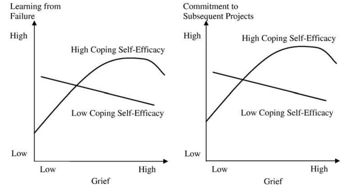 Grief, coping self-efficacy and learning from project