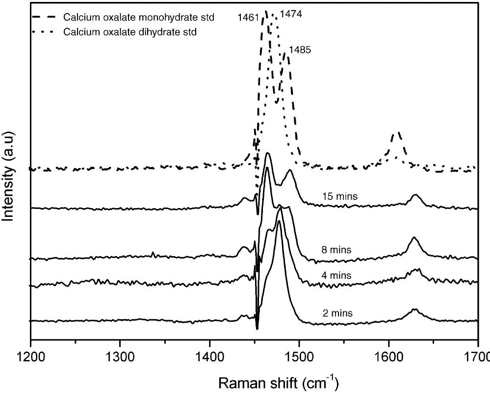 Micro-raman spectra of calcium oxalate contact-time kinetics