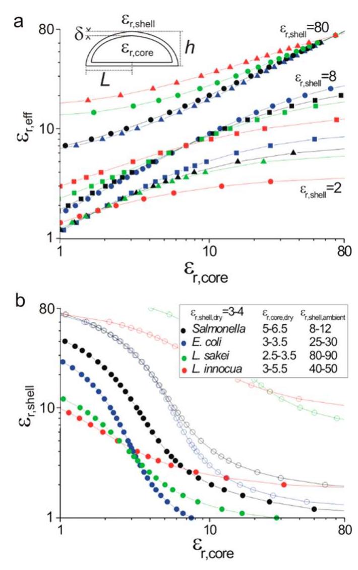 (a) effective dielectric constant of a core—shell bacteria