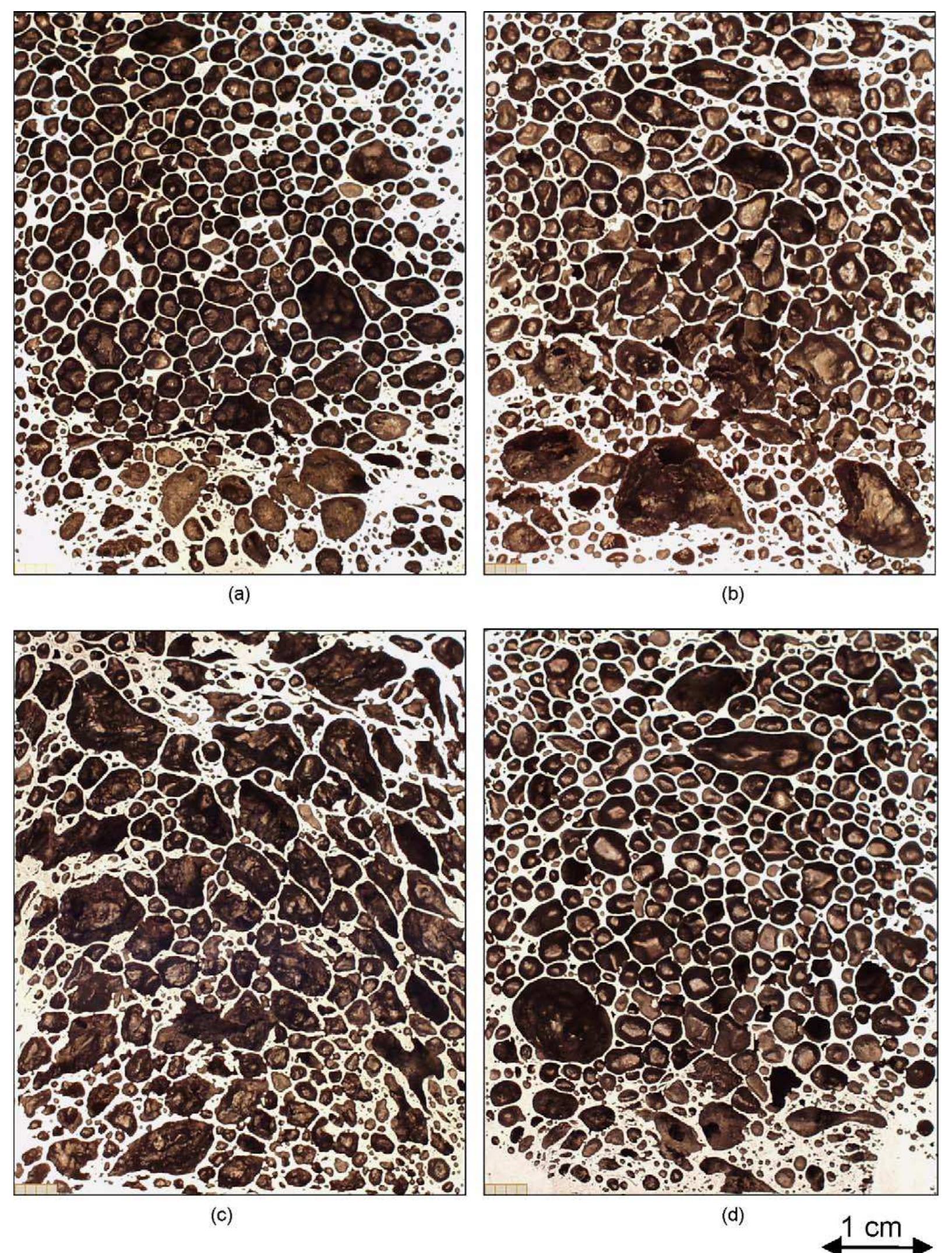 (PDF) Effect of ceramic particle addition on the foaming behavior, cell ...