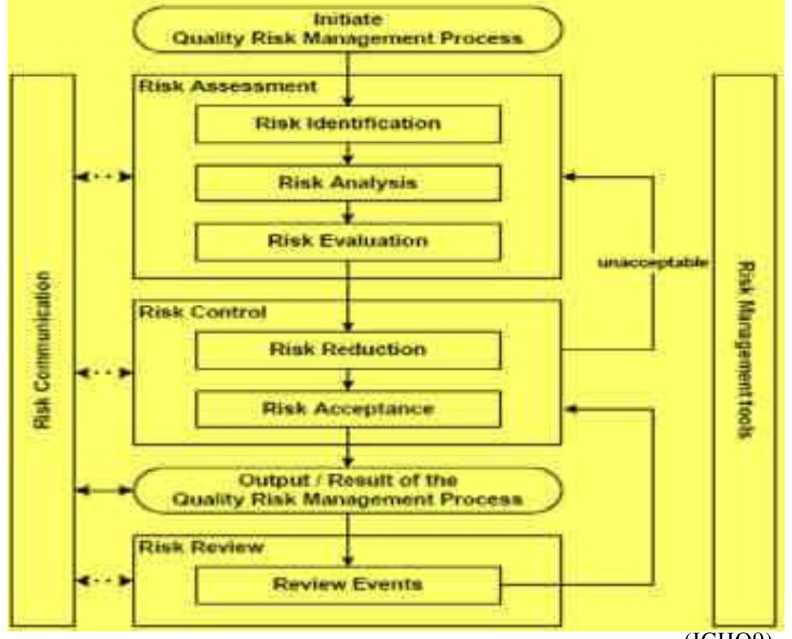 Overview of a typical quality risk management process?
