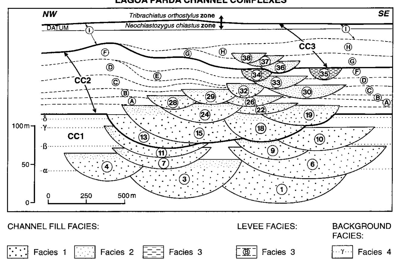 Schematic cross-section showing the stratigraphic