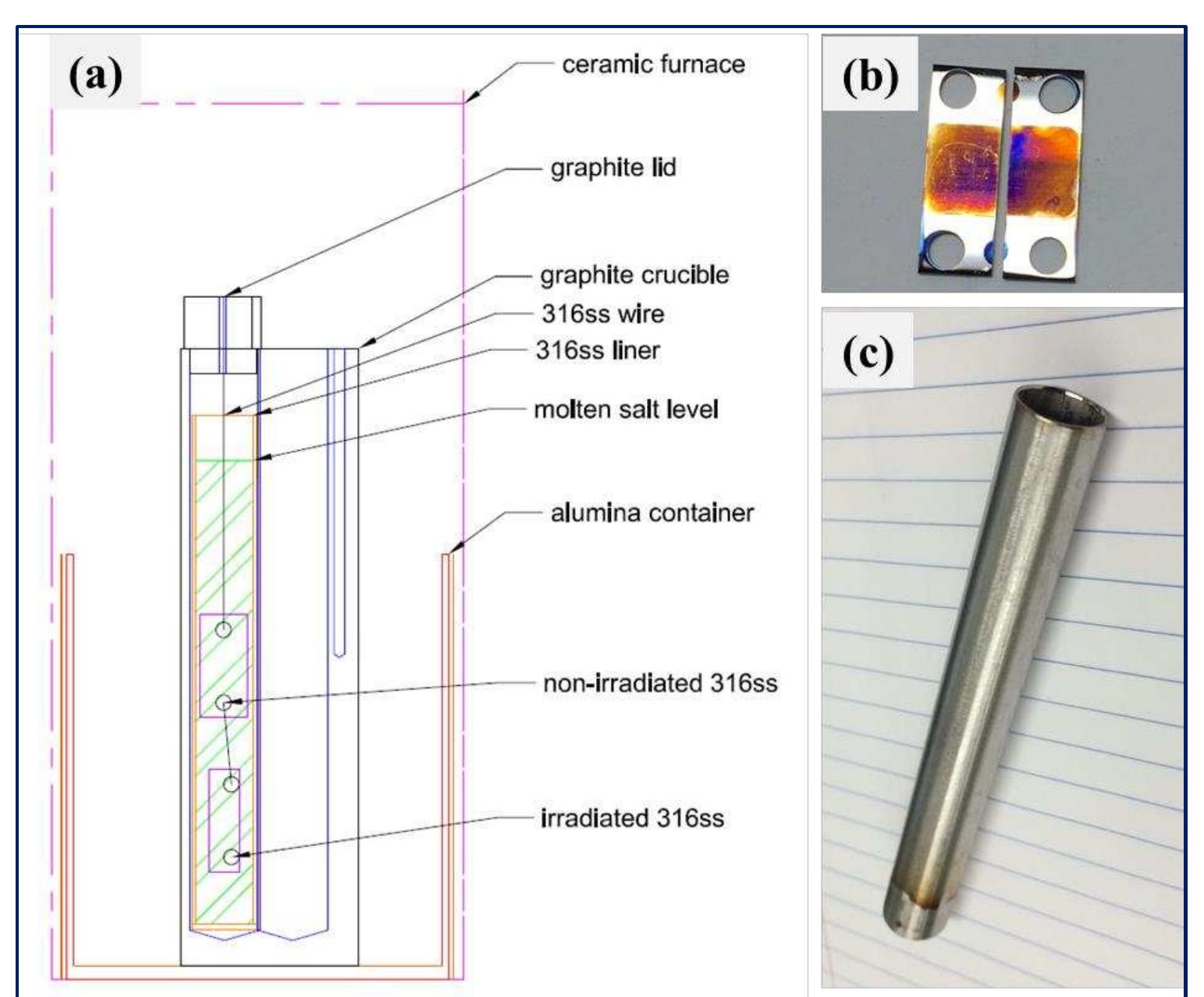 (a) schematic illustration diagram of corrosion experiment