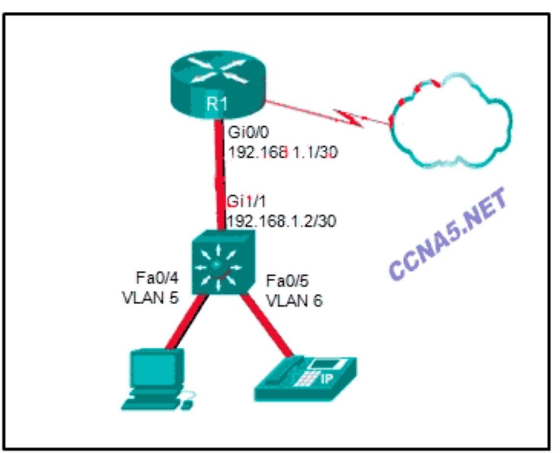 Figure 77 - CCNA – OSI Model Questions