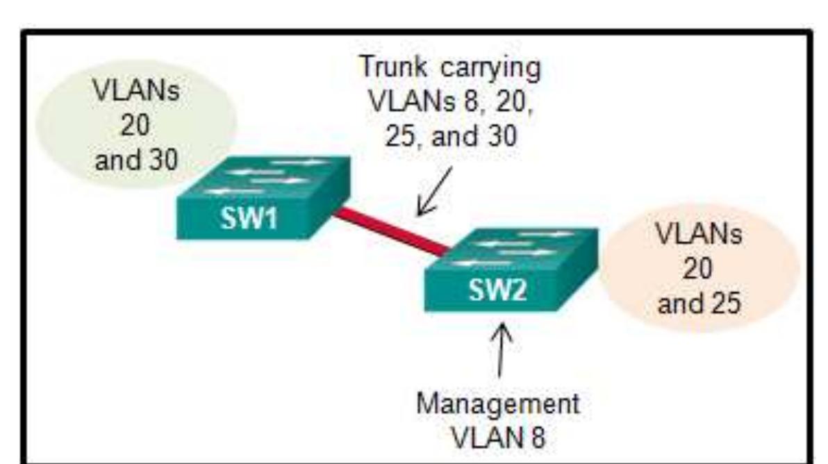 Figure 87 - CCNA – OSI Model Questions