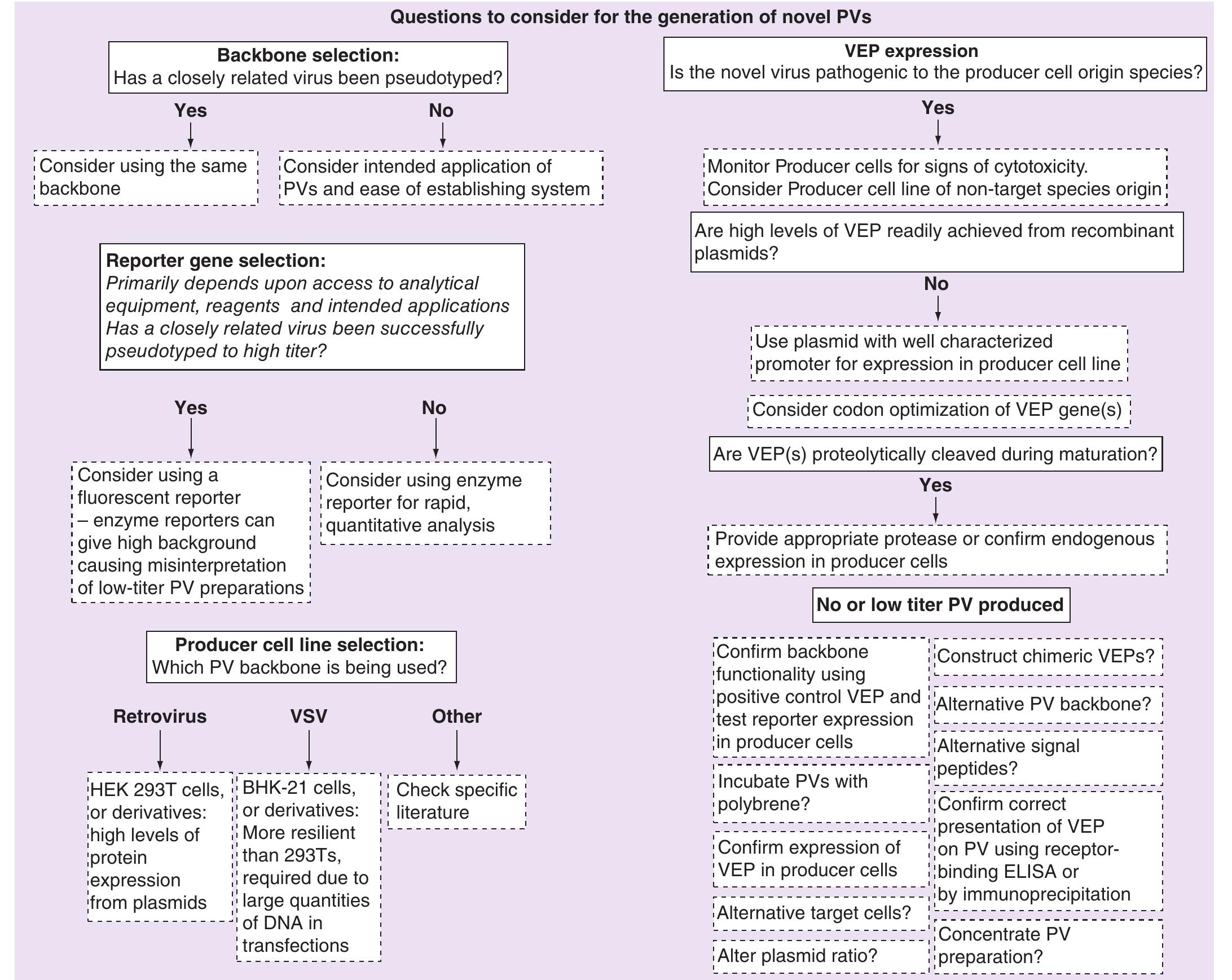 Summary diagram of factors to consider when generating a
