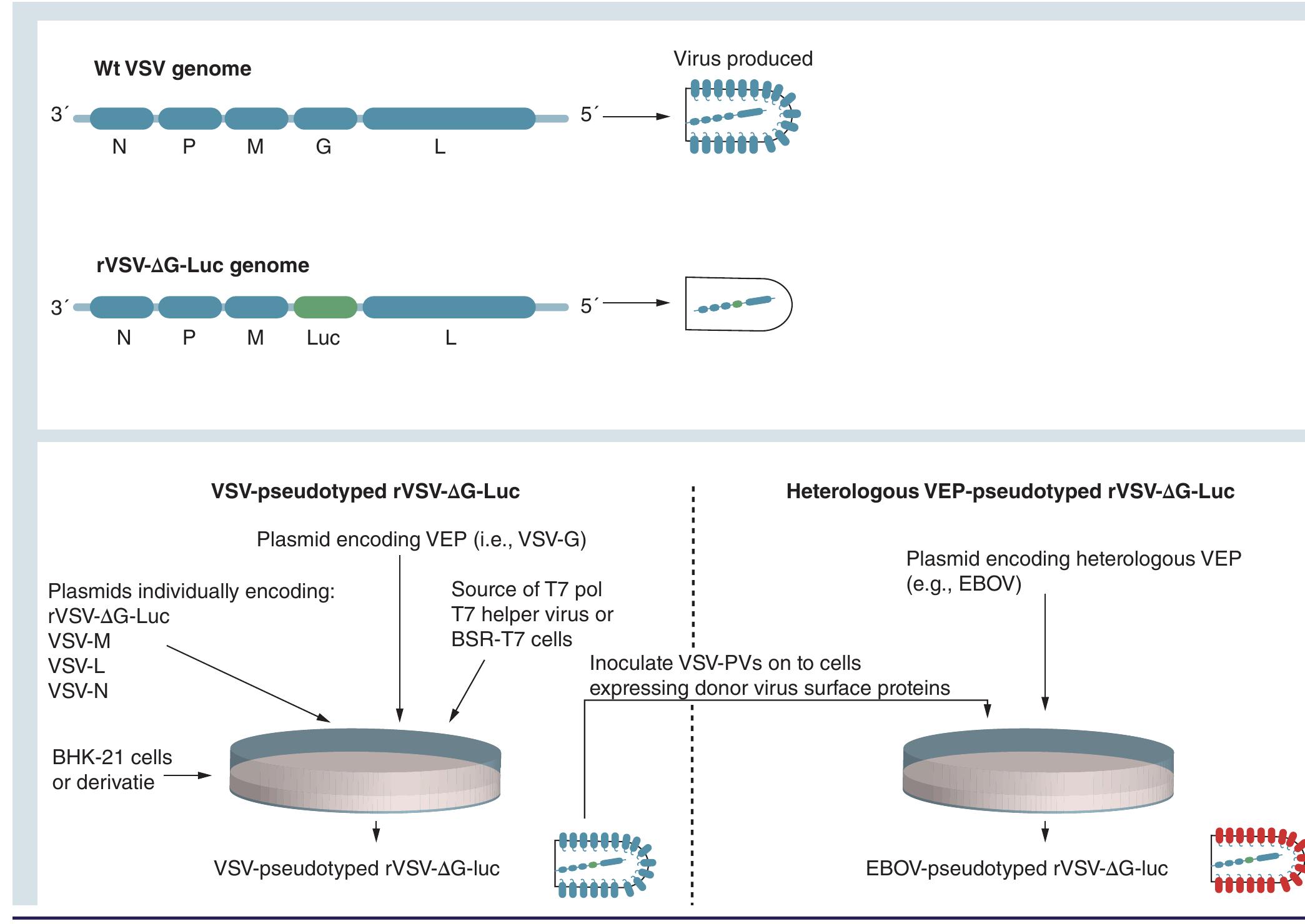 Summary diagram of factors to consider when generating a