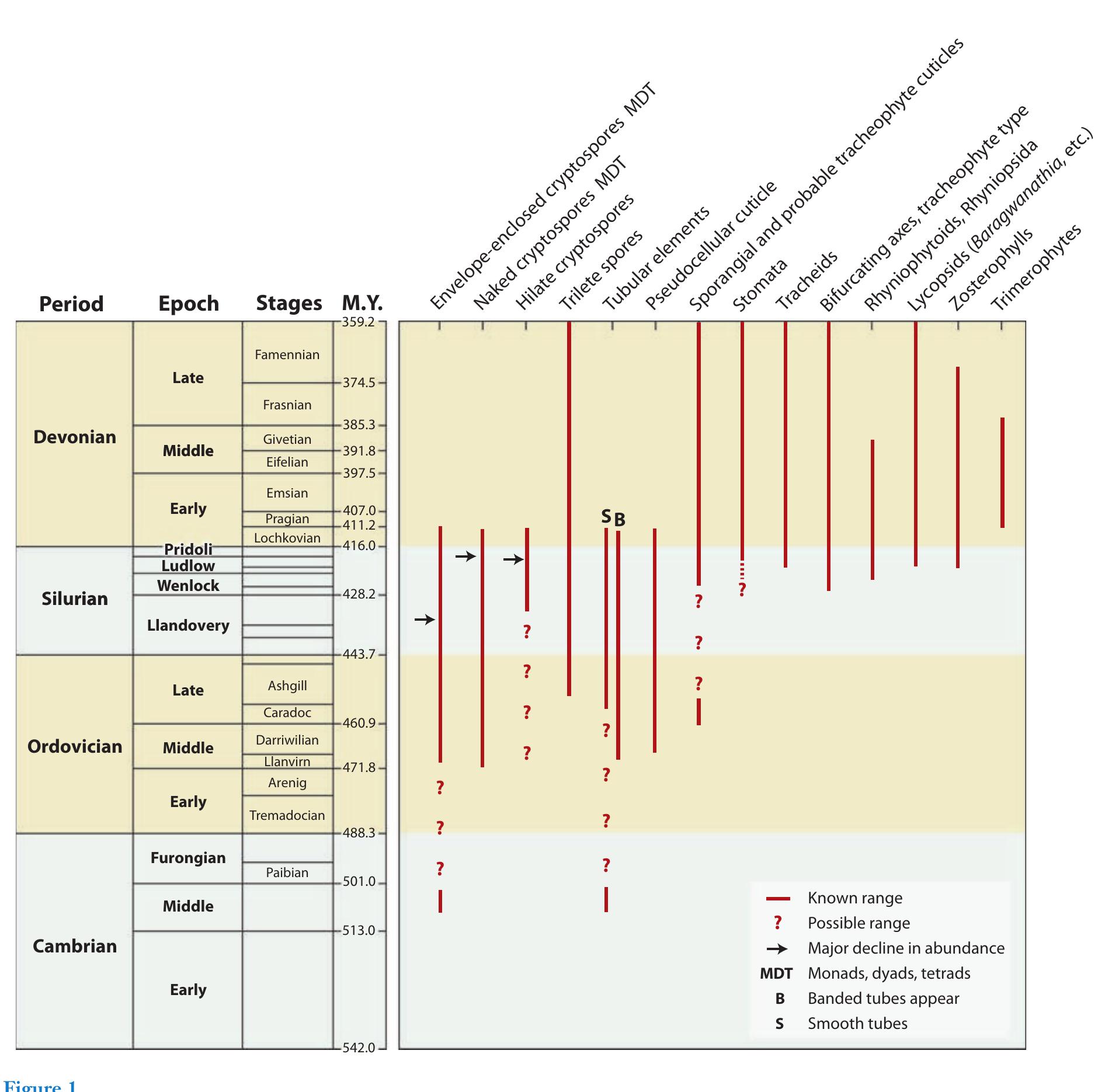 Stratigraphic ranges of fossil types used in assessing early