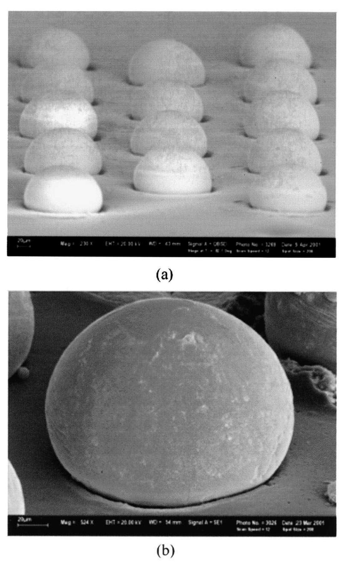 Scanning electron microscope (sem) images of stencil printed