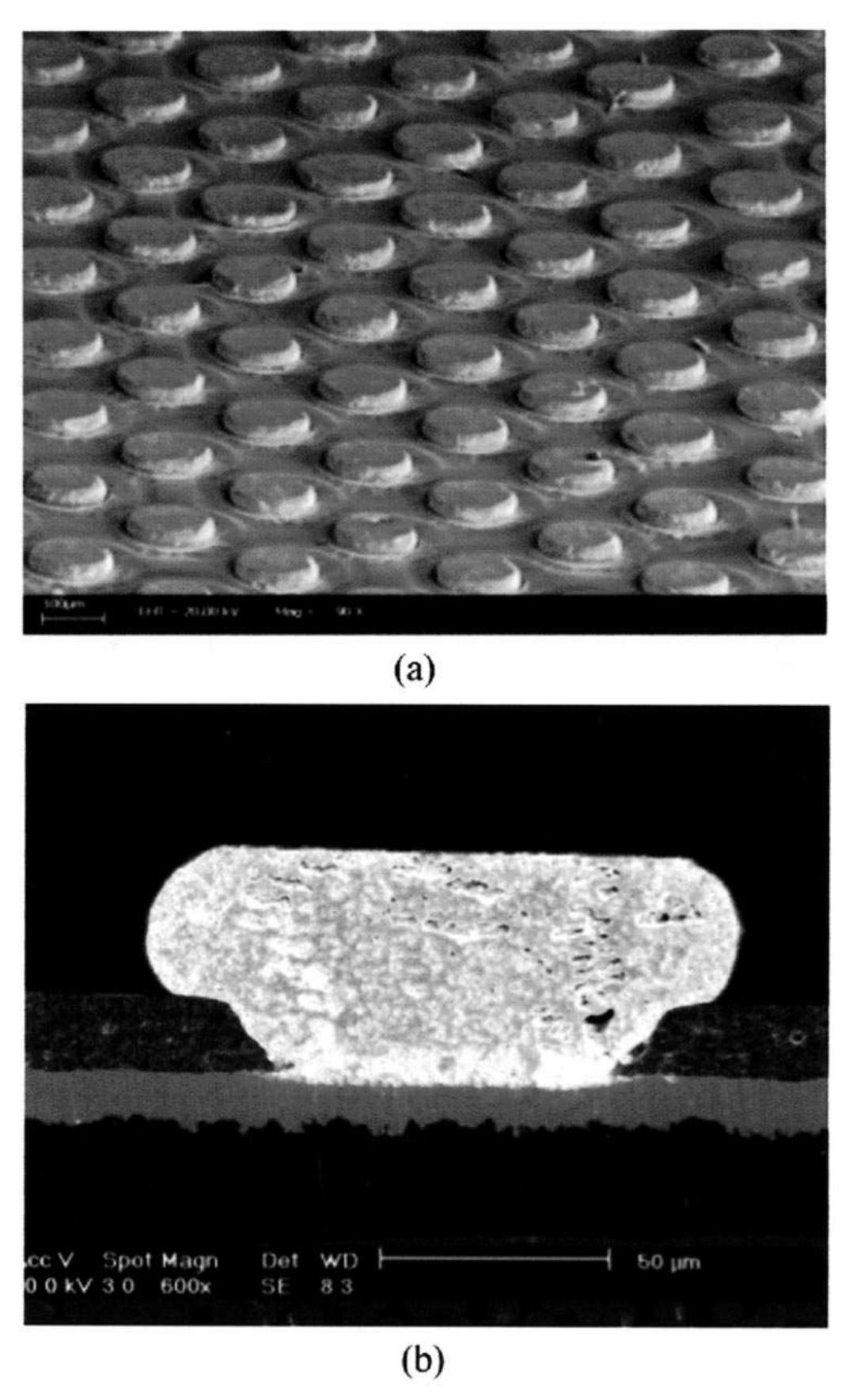 Figure 11 - A study on coining processes of solder bumps on