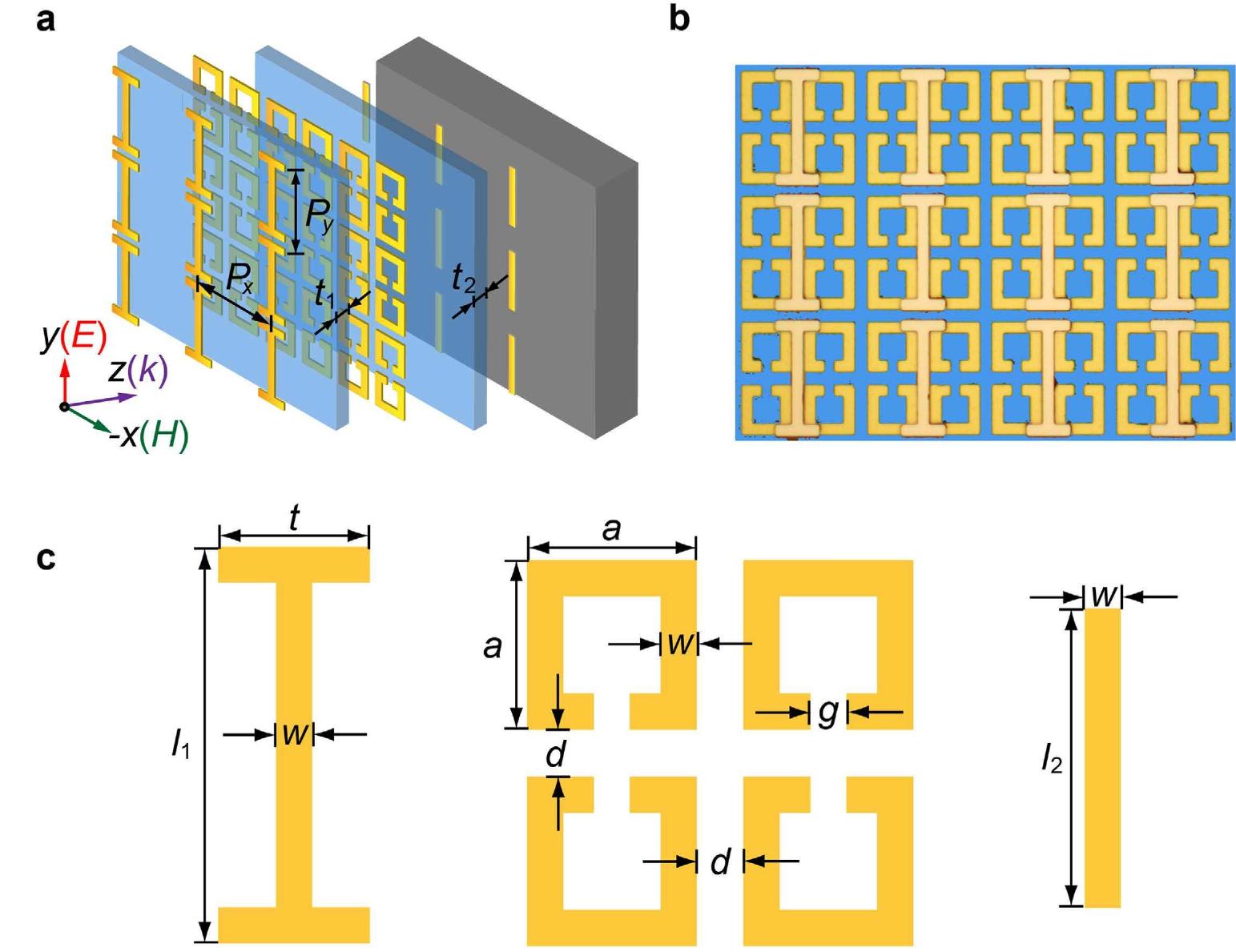 Sample schematic and microscopic image. (a) schematic
