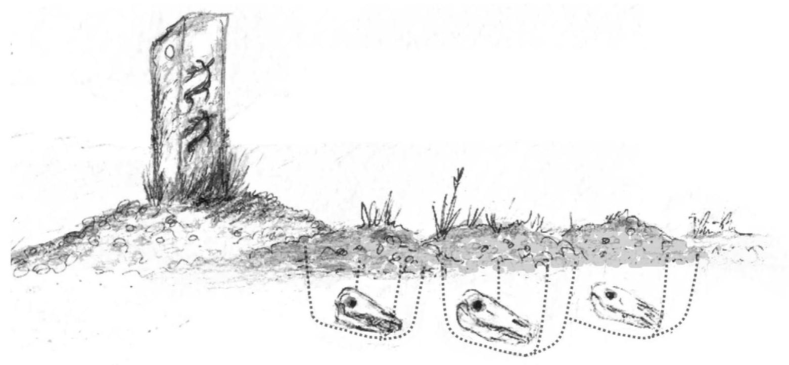 Illustration depicting horse head mounds at a deer stone