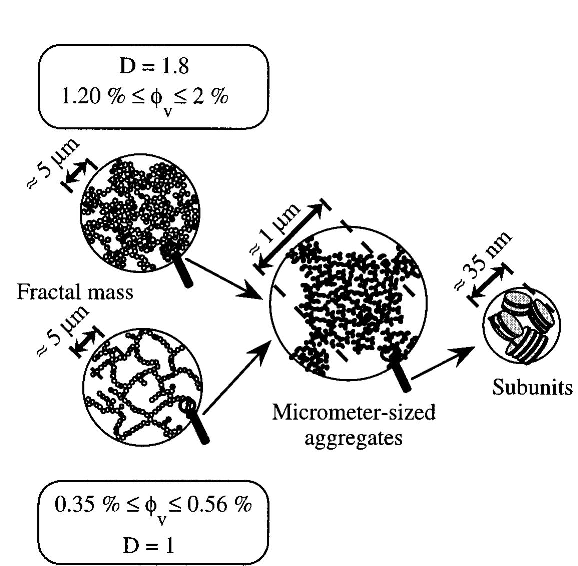 Schematic representation of structure of laponite suspension