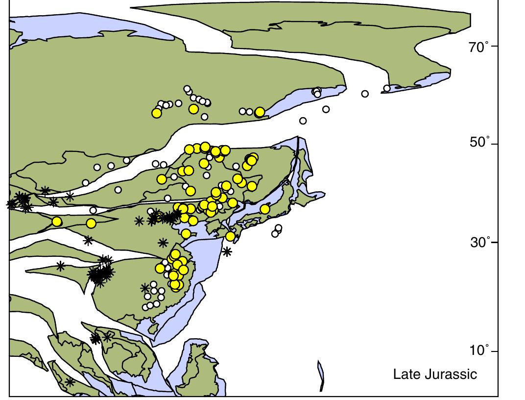 (PDF) Pole et al 2016 The rise and demise of Podozamites in east Asia ...