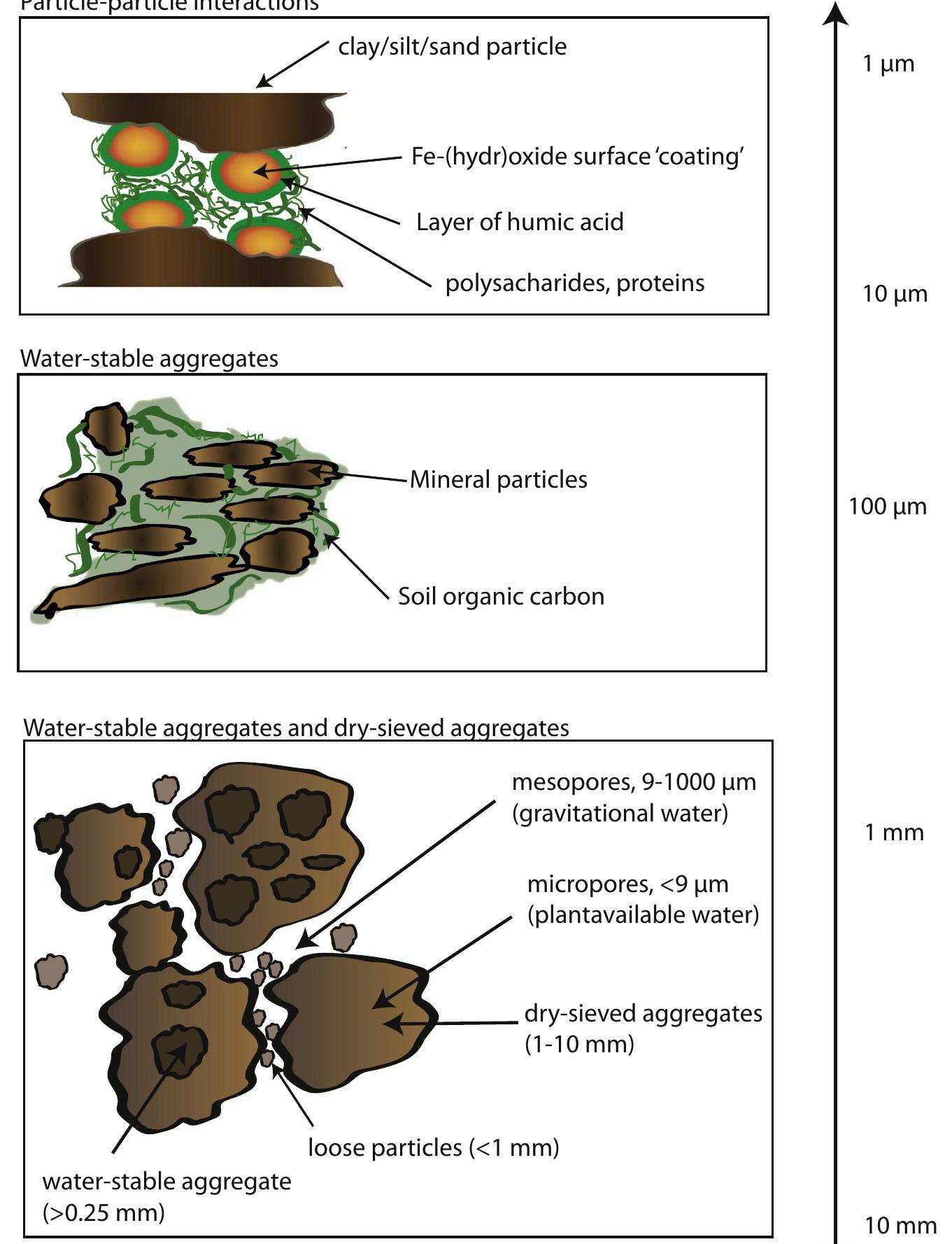 Conceptual diagram showing the different size-scales at