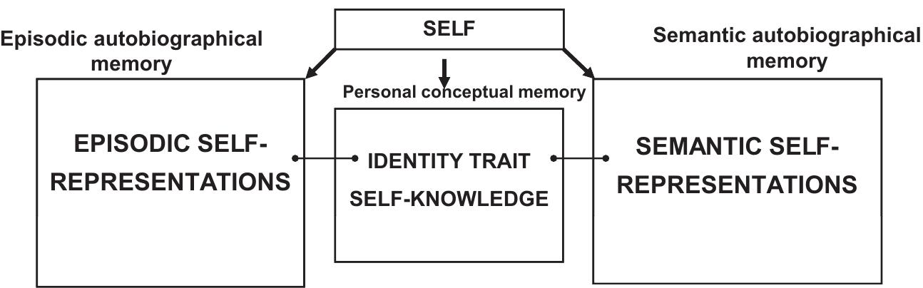 Organization of the structural self according to the