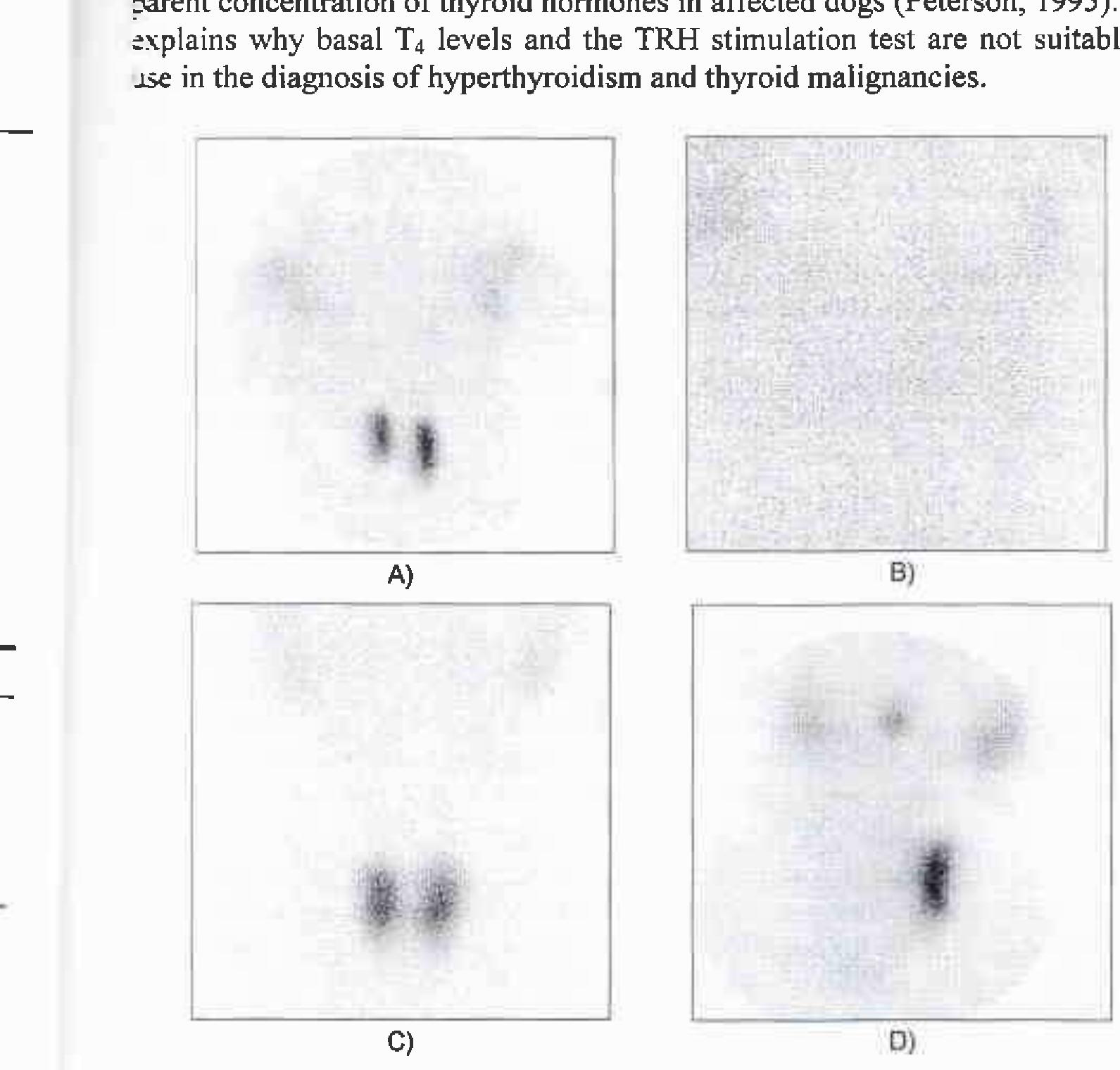 J. typical ventral scintigraphic images of (a) an euthyroid,