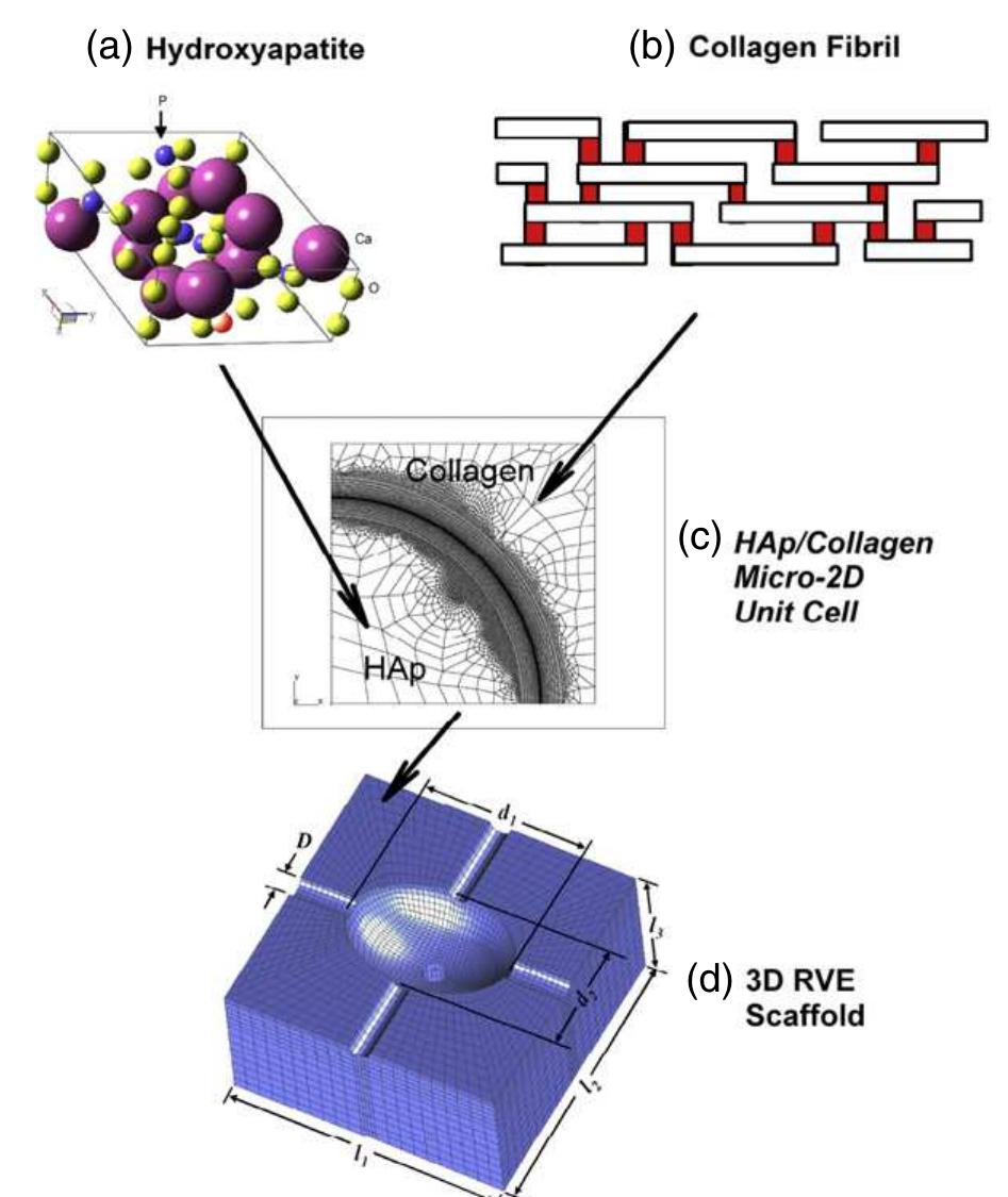 - schematics illustrate the multiscale approach for modeling