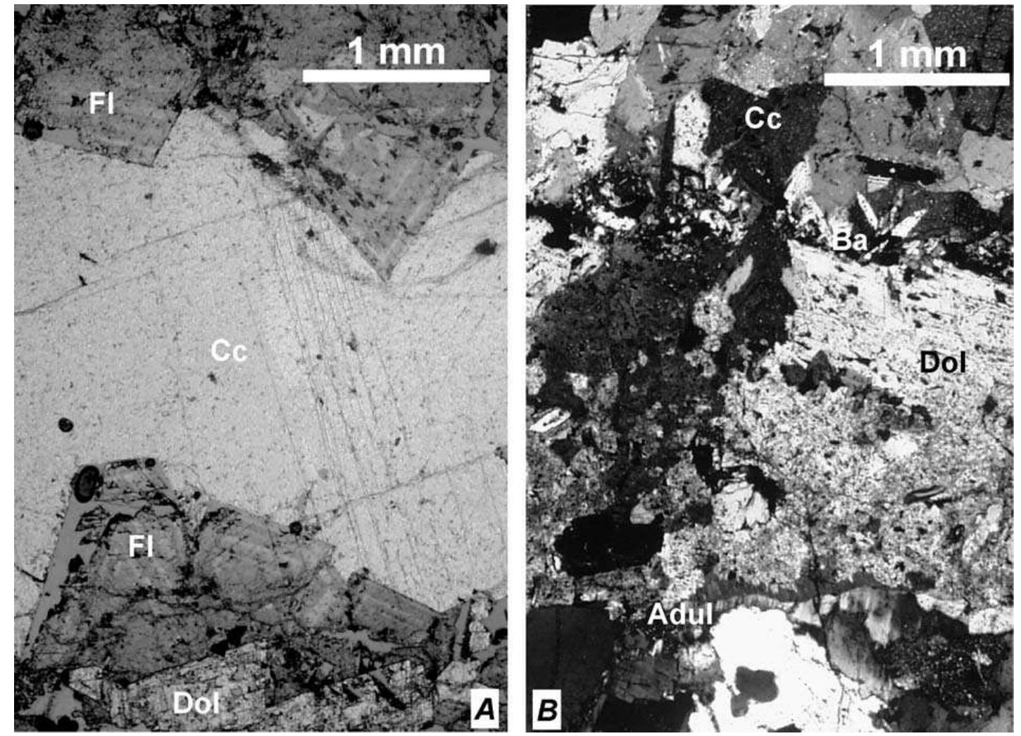 Photomicrographs of typical vein fillings. (a) dolomite