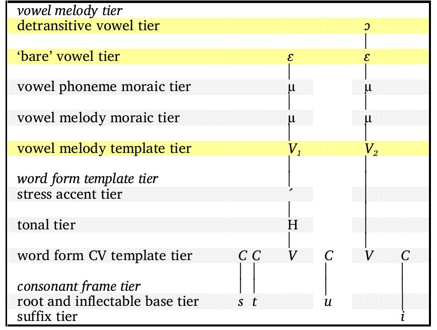 Segmental and templatic analysis of pie *stéusi from the