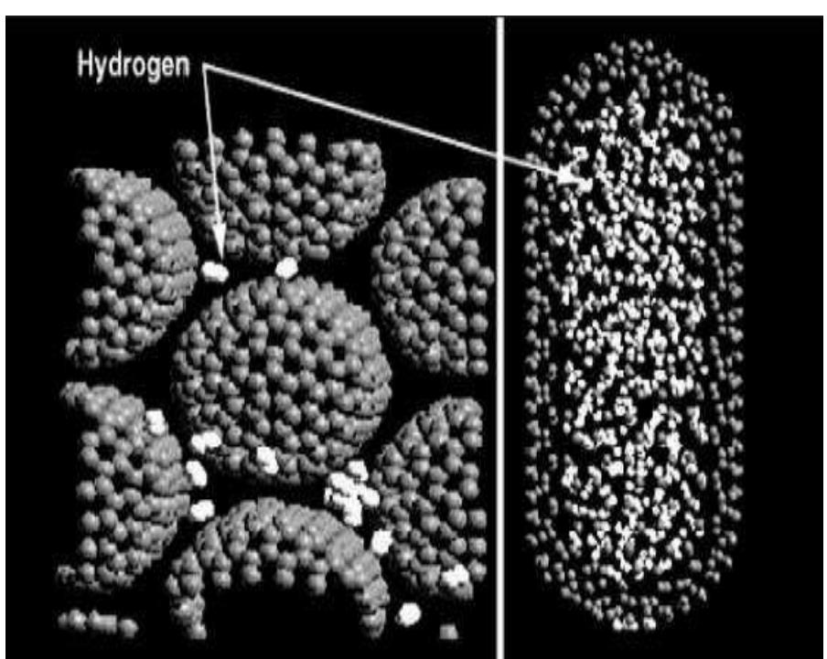-17: schematic representation showing potential sites for