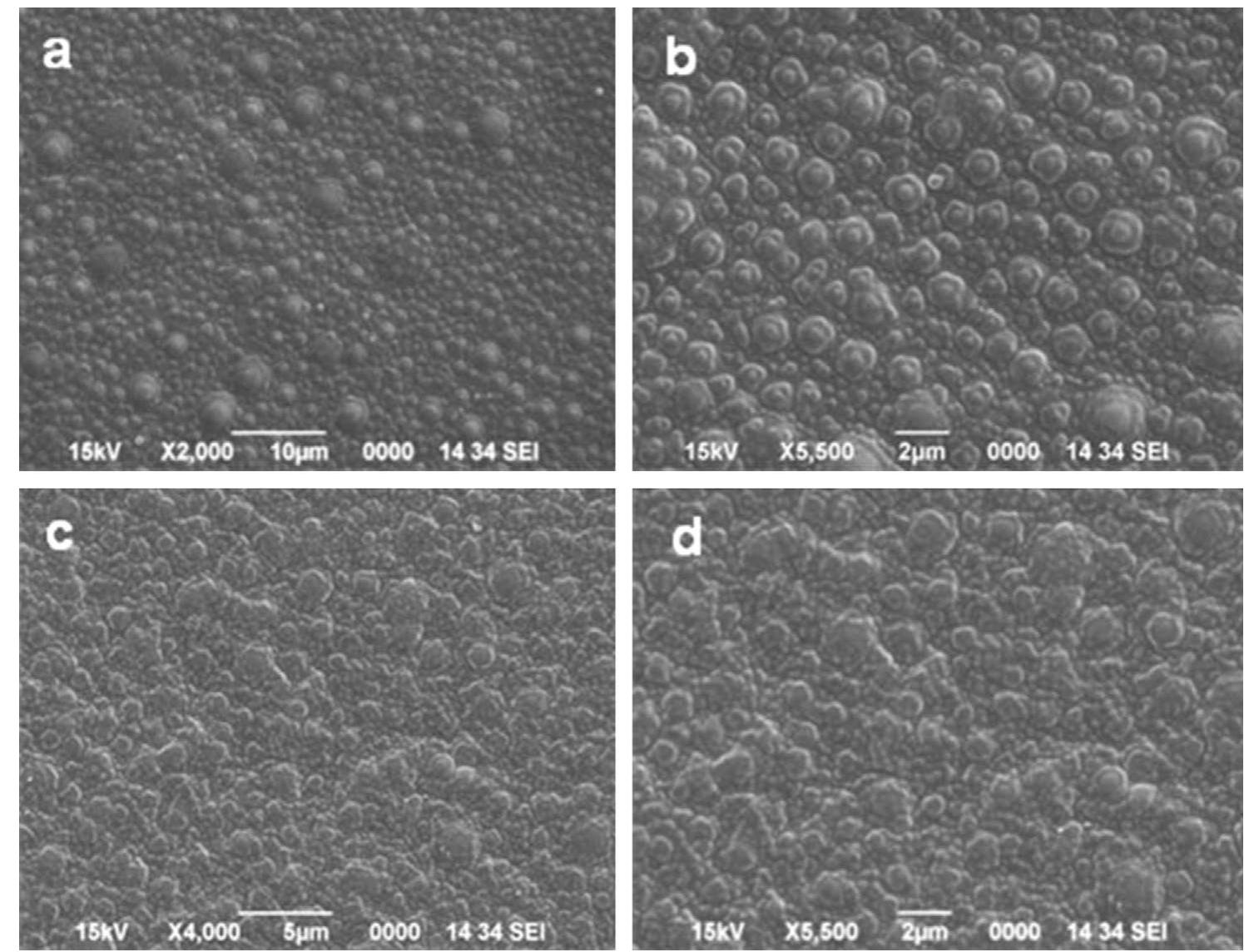 ‘ig. 2. scanning electron microscope (sem) images of the