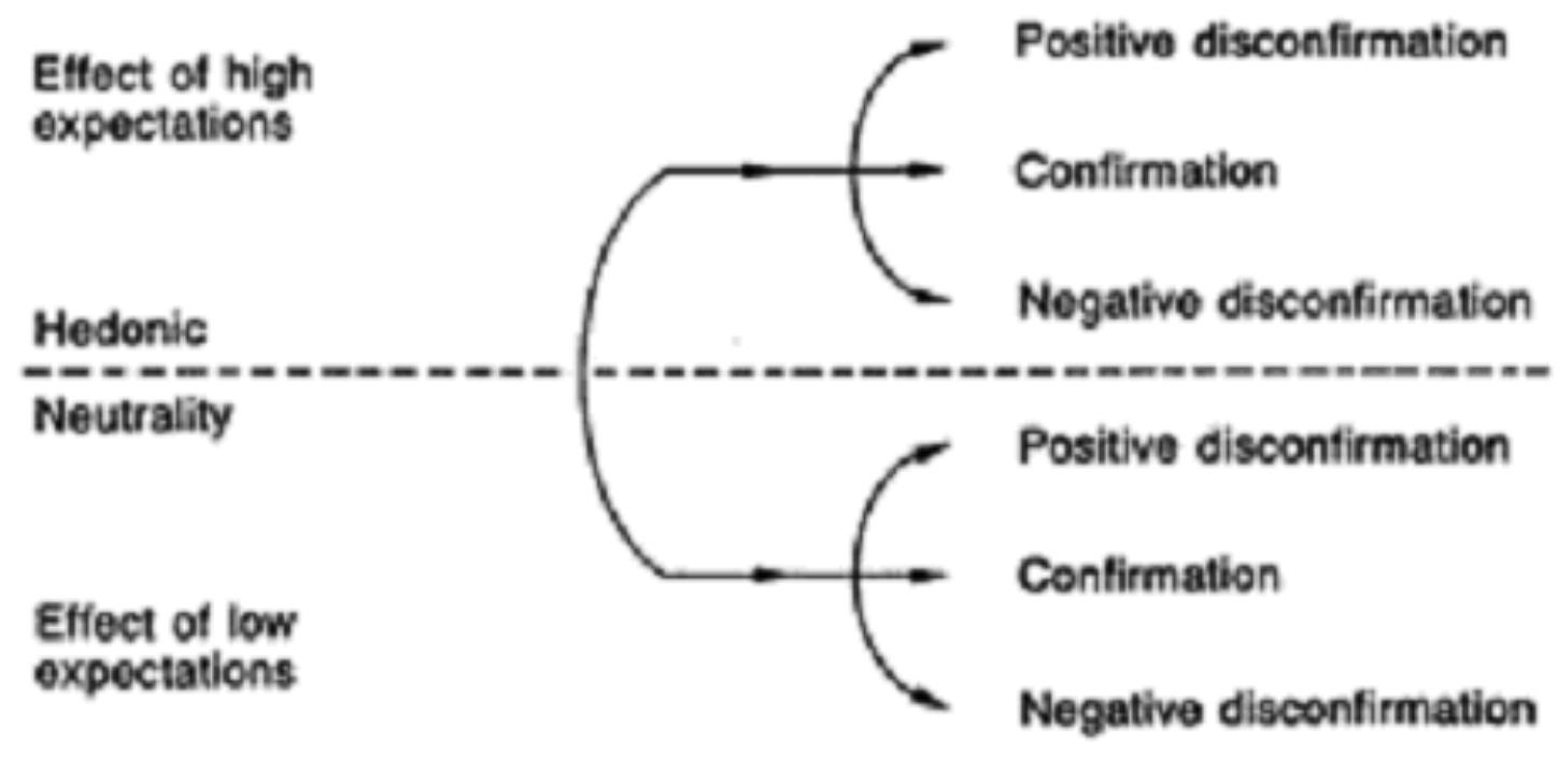 5. expectation and disconfirmation effects on satisfaction