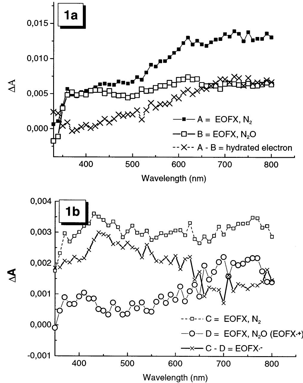 Transient absorption spectra of 6 x 10-° m eofx in aqueous