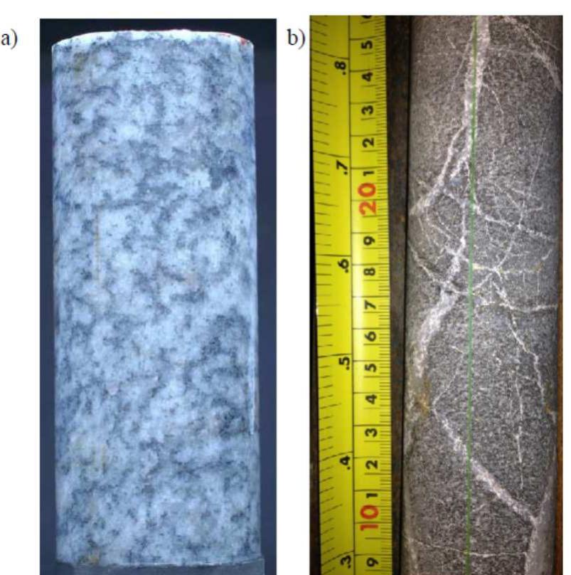 Al examples of homogeneous (a) and heterogeneous (63mm in