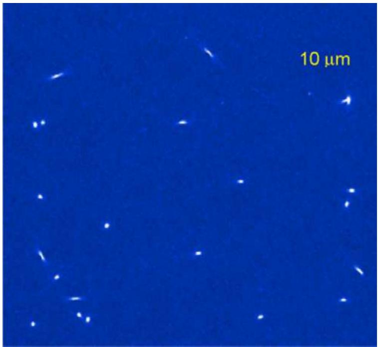 Example of fluorescent image of recoil proton tracks induced