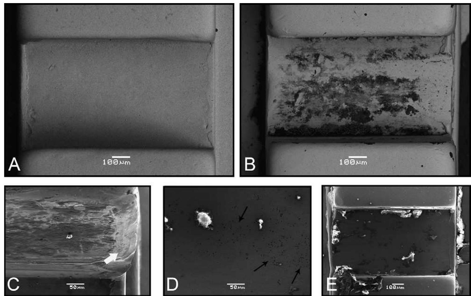 Scanning electron microscope images of mini standard