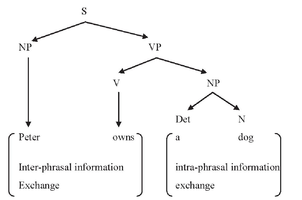 Intra- and inter-phrasal information exchange (adapted from