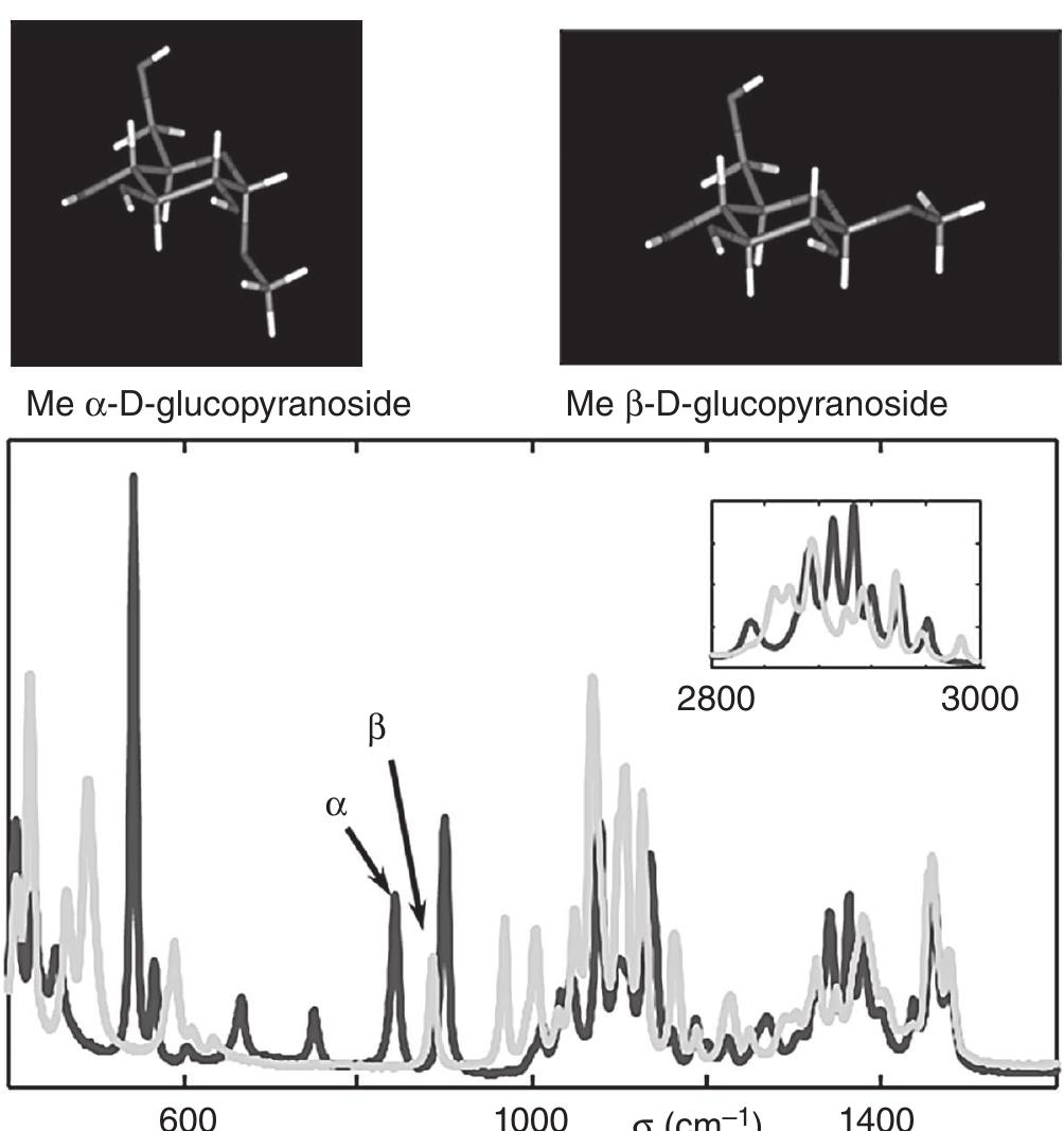 4 the sensitivity of raman spectra to the anomeric form of