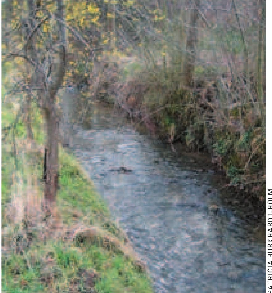 Figure 5 - from Where Have All the Fish Gone?