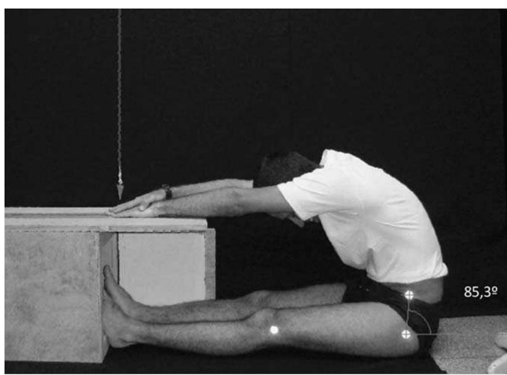 Illustration of the adapted wells bench with door open and