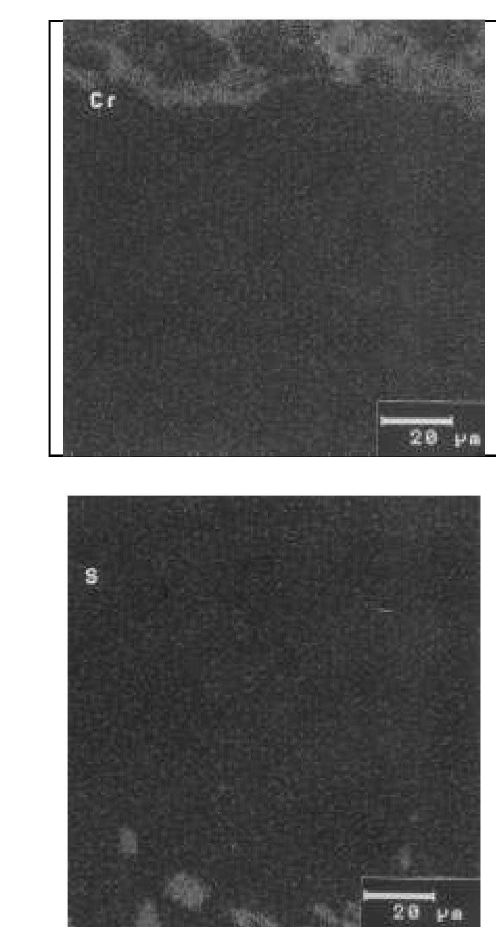 Secondary electron image of the nickel-rich zone and its