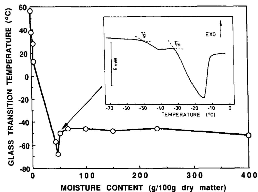 Figure 2 - from Phase Transitions of Amorphous Sucrose and