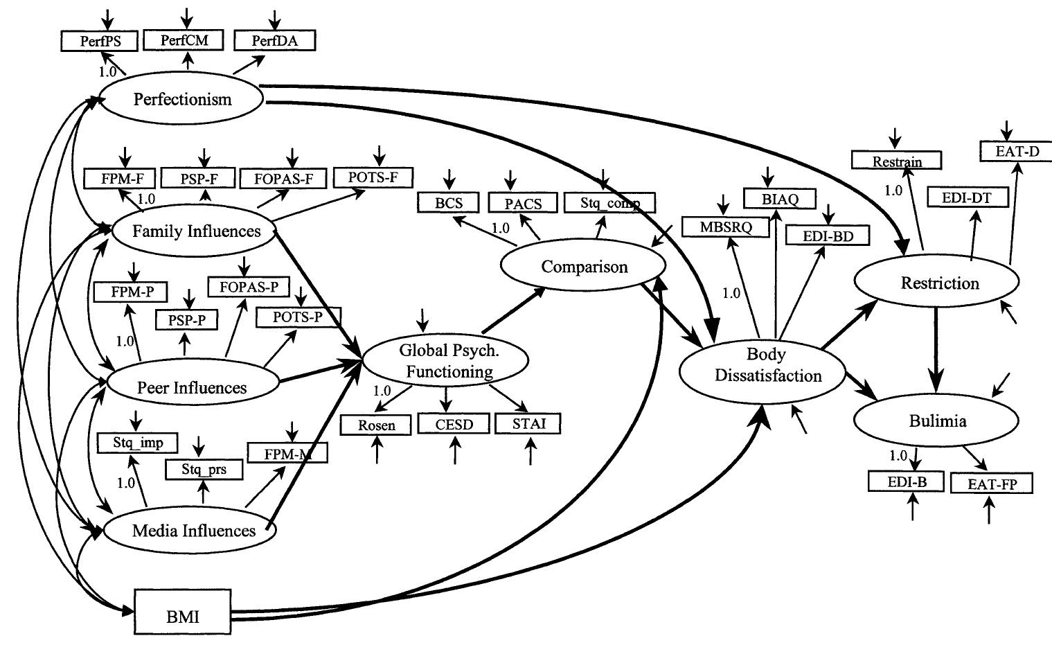 (PDF) The Tripartite Influence model of body image and eating ...