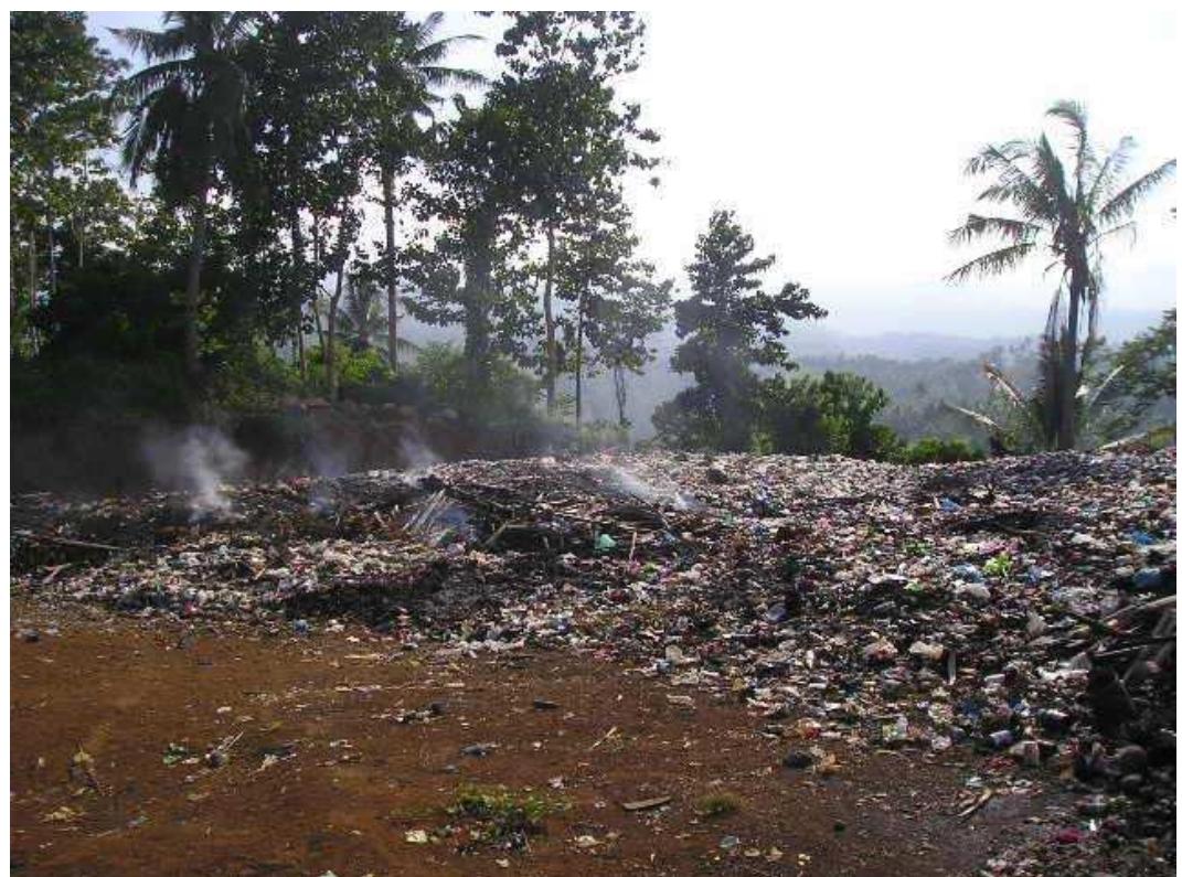 (PDF) Ecological Solid Waste Management Act of 2000 (RA 9003): A Major ...