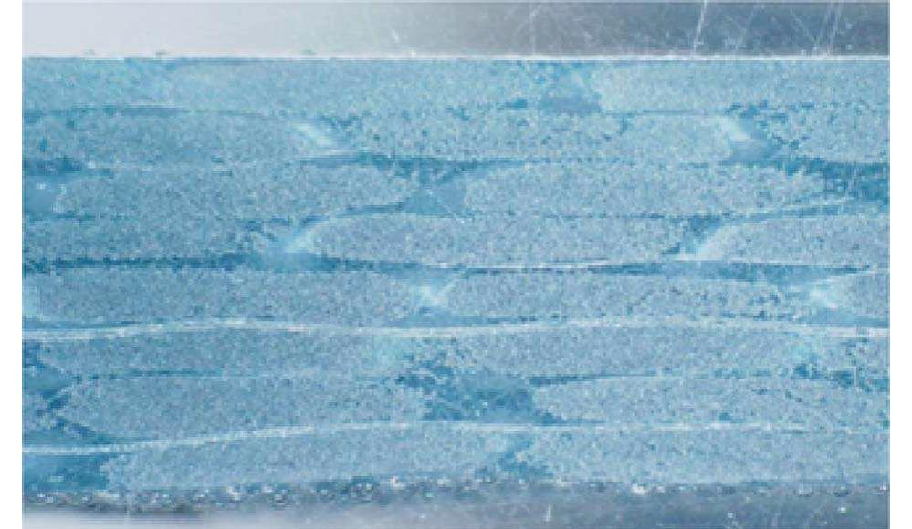 A micrograph of a transverse section of a fiber glass