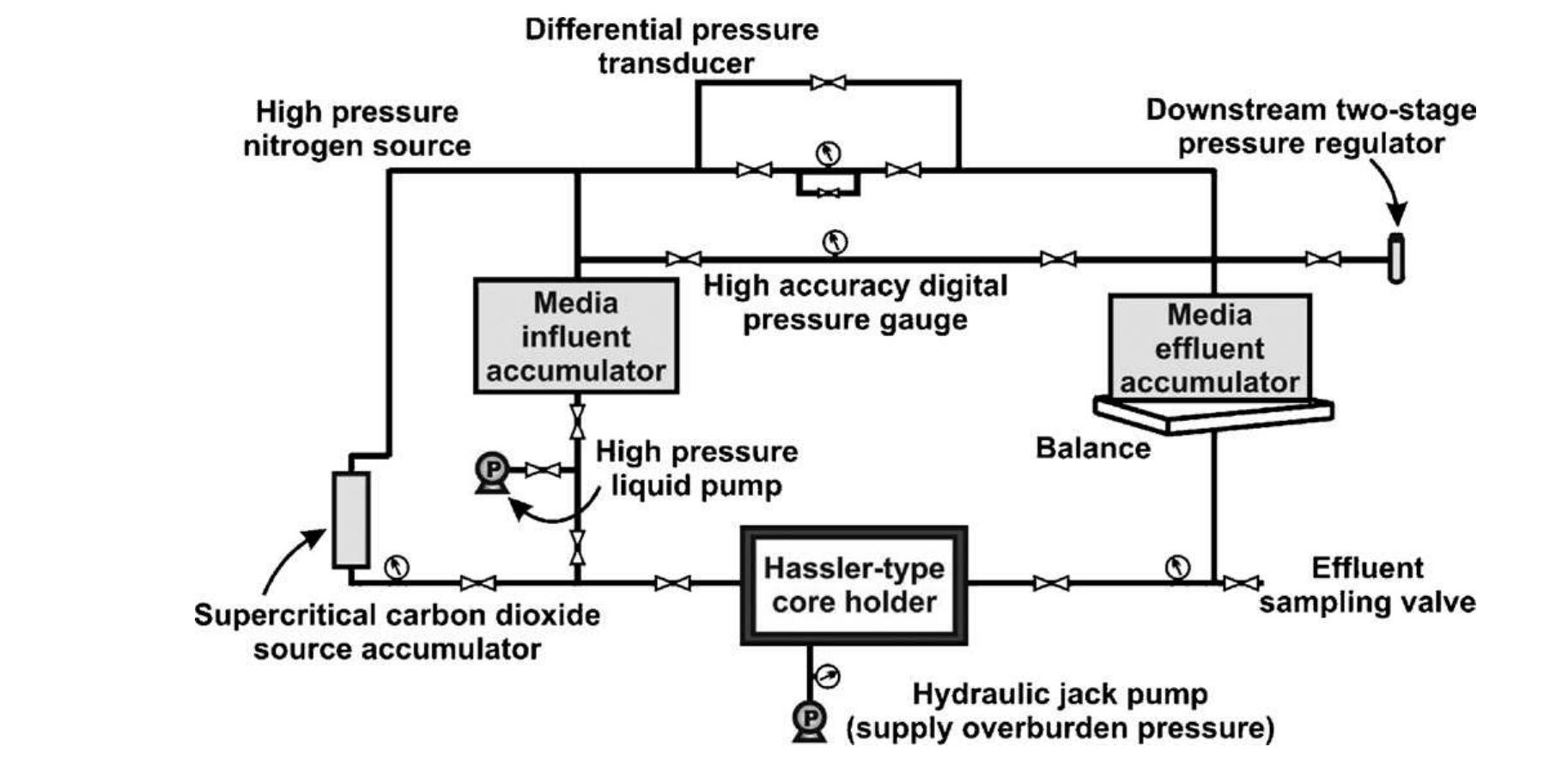 - schematic of high-pressure biofilm and supercritical co2 - schematic of high-pressure biofilm and supercritical co2