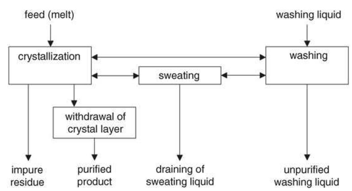 3. principle flow diagram of solid layer processes