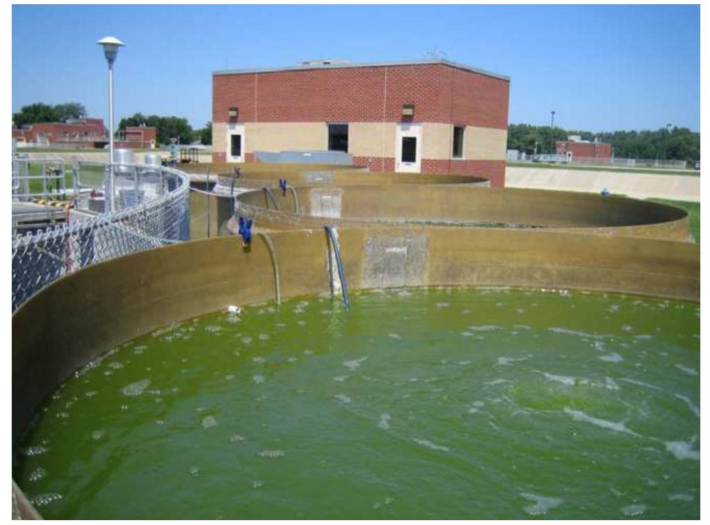 Algal open pond reactors operated at the lawrence wwtp,