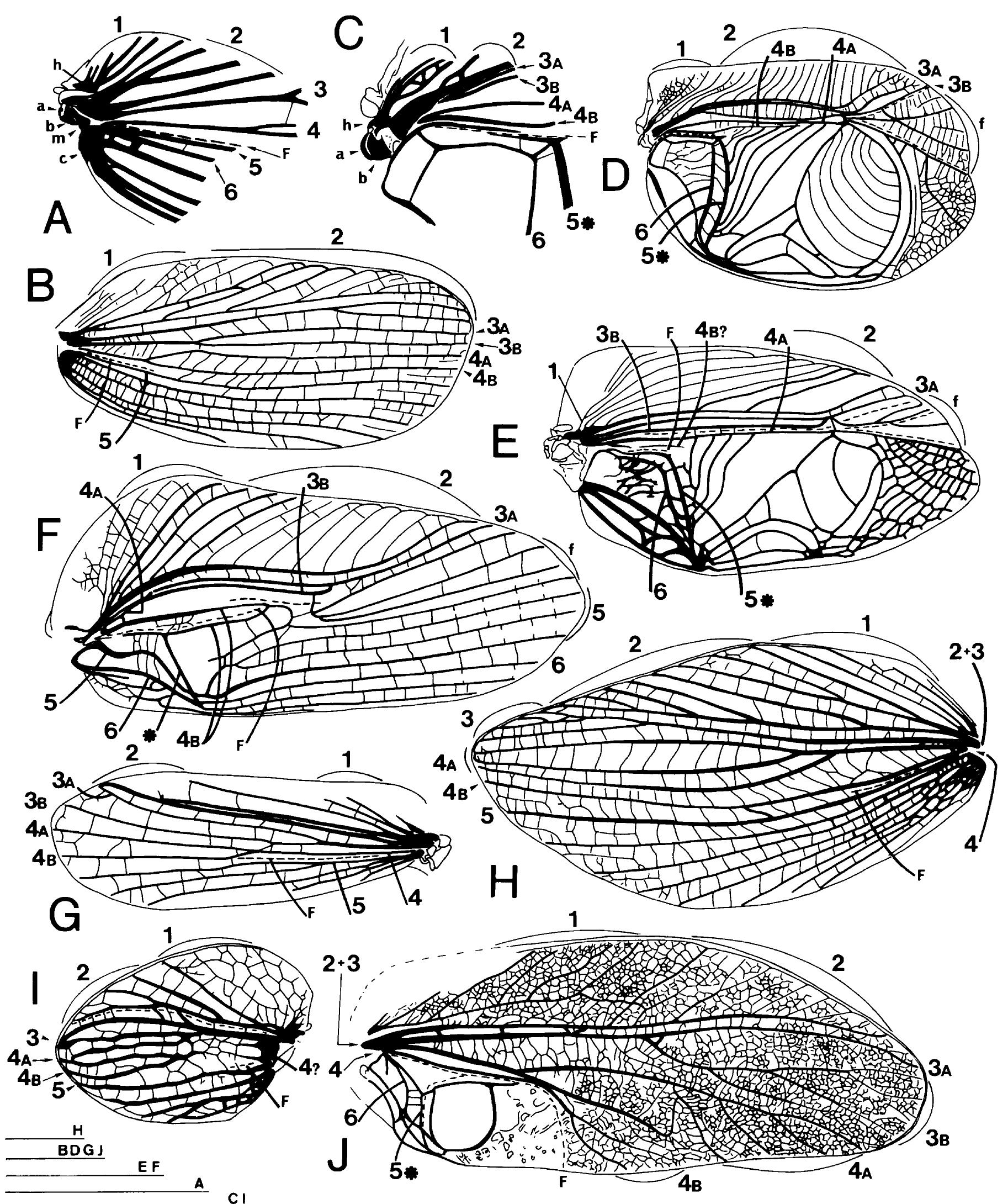 Figure 5 - from Phylogeny and the evolution of acoustic