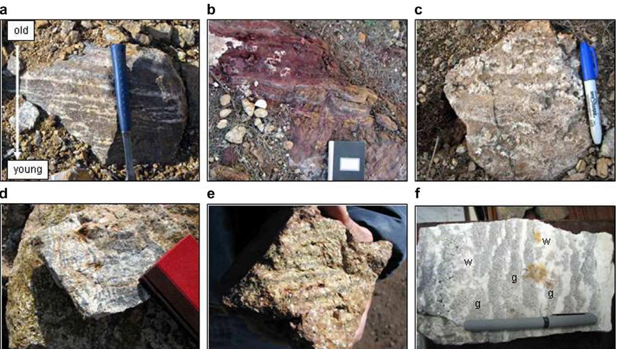 Zebra textures in tunisian sr-ba-fe deposits-sabkha deposits